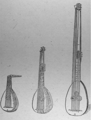 La famille des luths pendant le 16e siècle